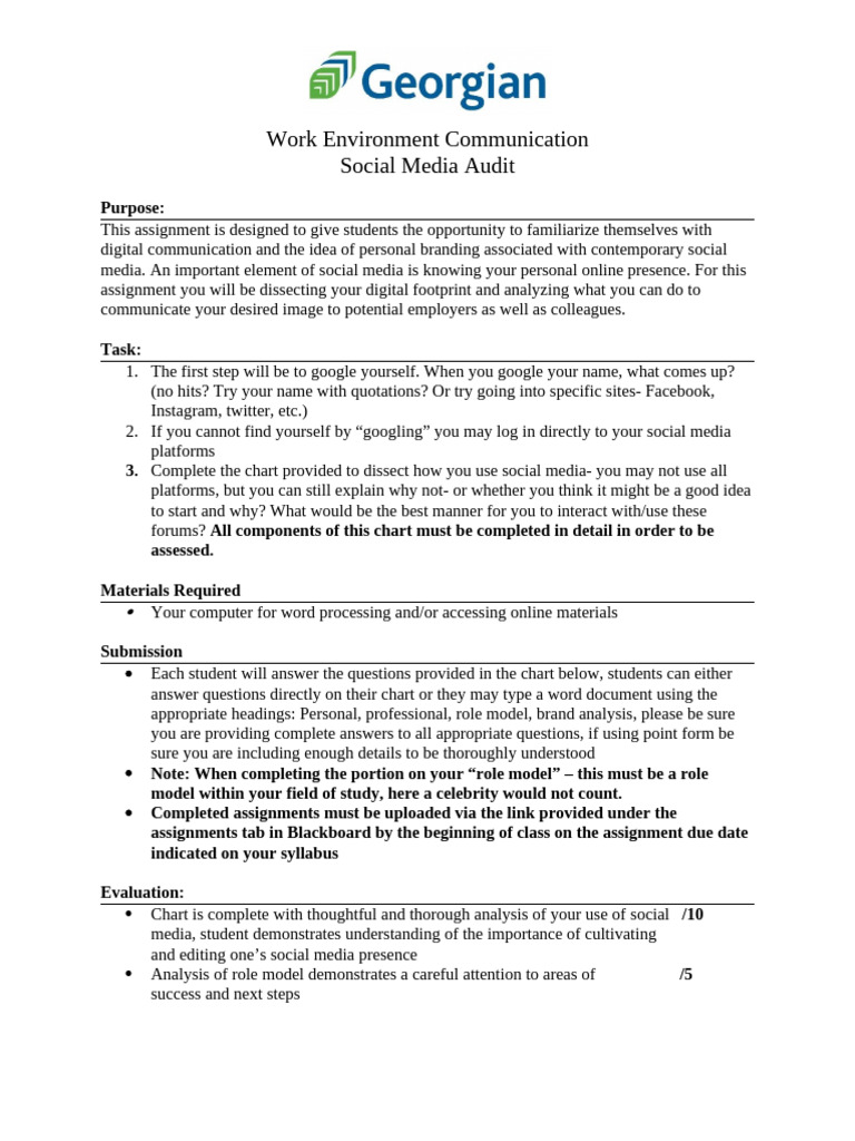Work Environment - Social Media Audit Assignment | PDF