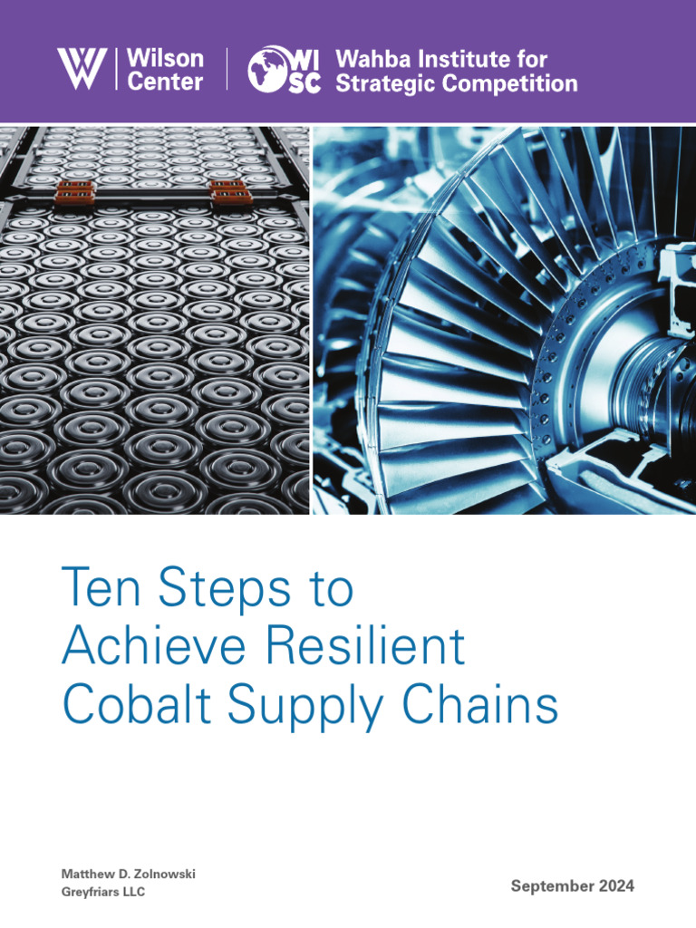 Ten Steps To Achieve Resilient Cobalt Supply Chains | PDF | Lithium Ion ...