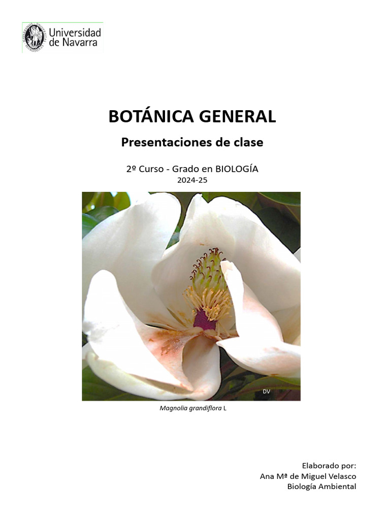 BG Teoria 2024 | PDF