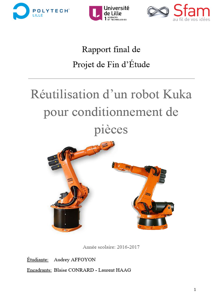 Affoyon Rapport P57 | PDF