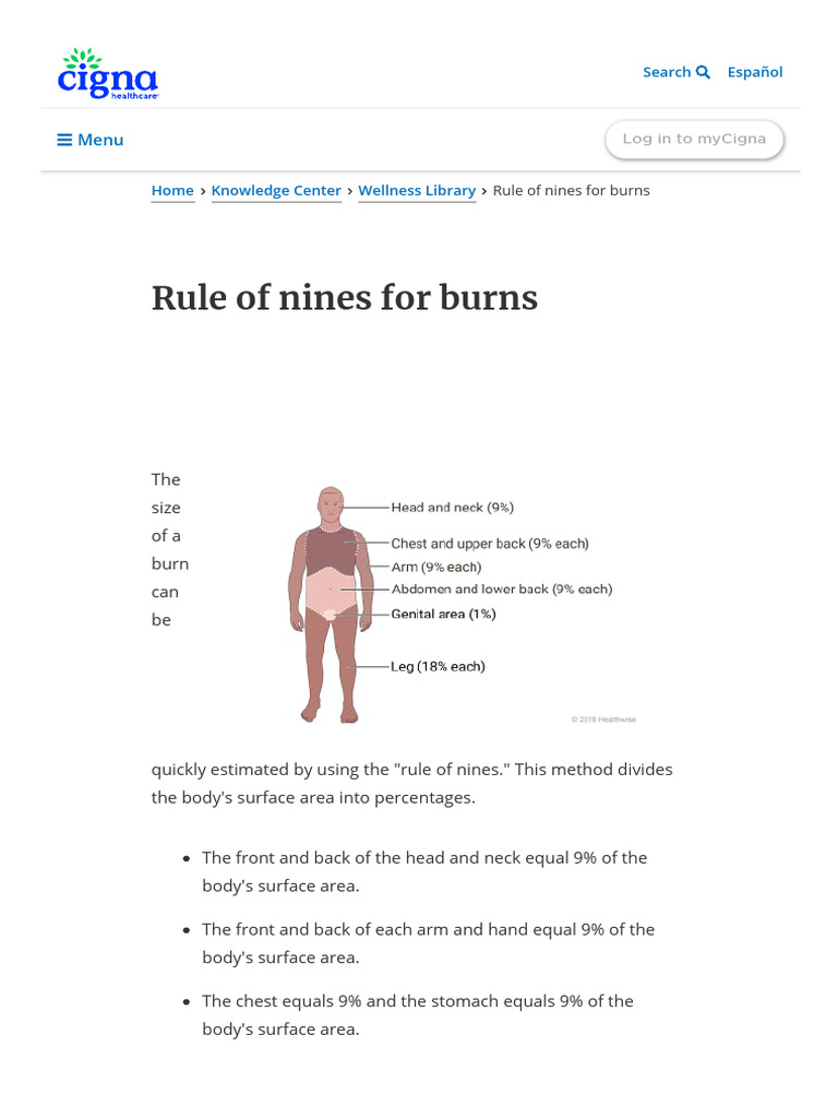 Rule of 9s For Burns - Surgery | PDF