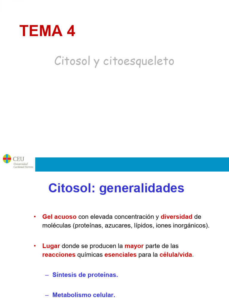Tema 4: Citosol y Citoesqueleto | PDF