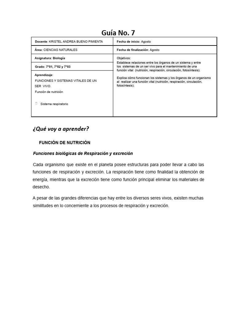 Guía No 7 BIOLOGIA SEPTIMO respiración | PDF