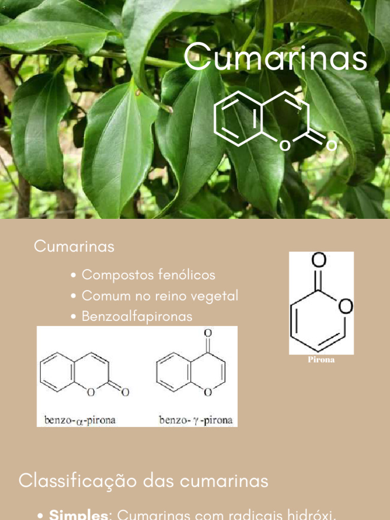 Aula 12 Cumarinas | PDF