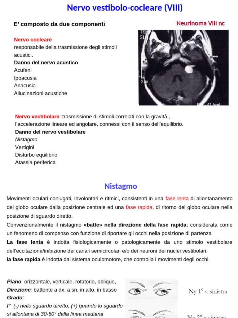 Nervi Cranici VIII-XII | PDF