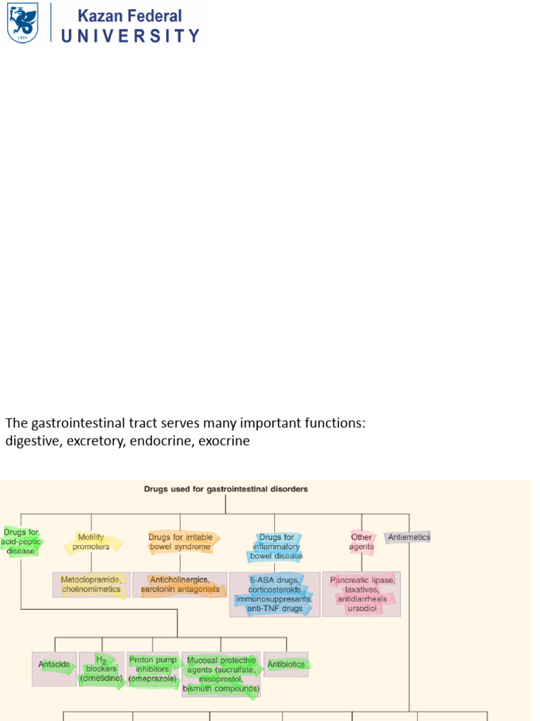 Lecture 14 - GIT and Uterus | PDF