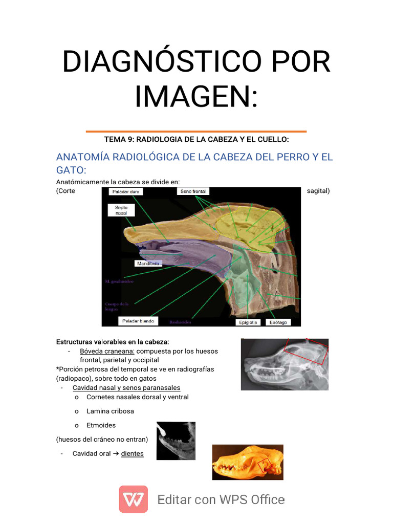Diagnostico Por Imagen 2 Cuatri - Compressed | PDF
