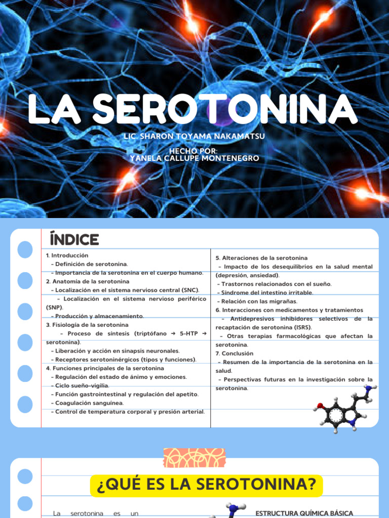 Funciones y Estructura de la Serotonina | PDF | Serotonina | Sinapsis
