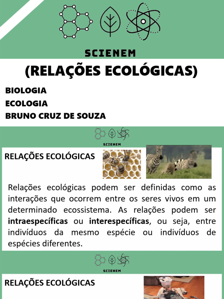 Aula Relações Ecológicas | PDF
