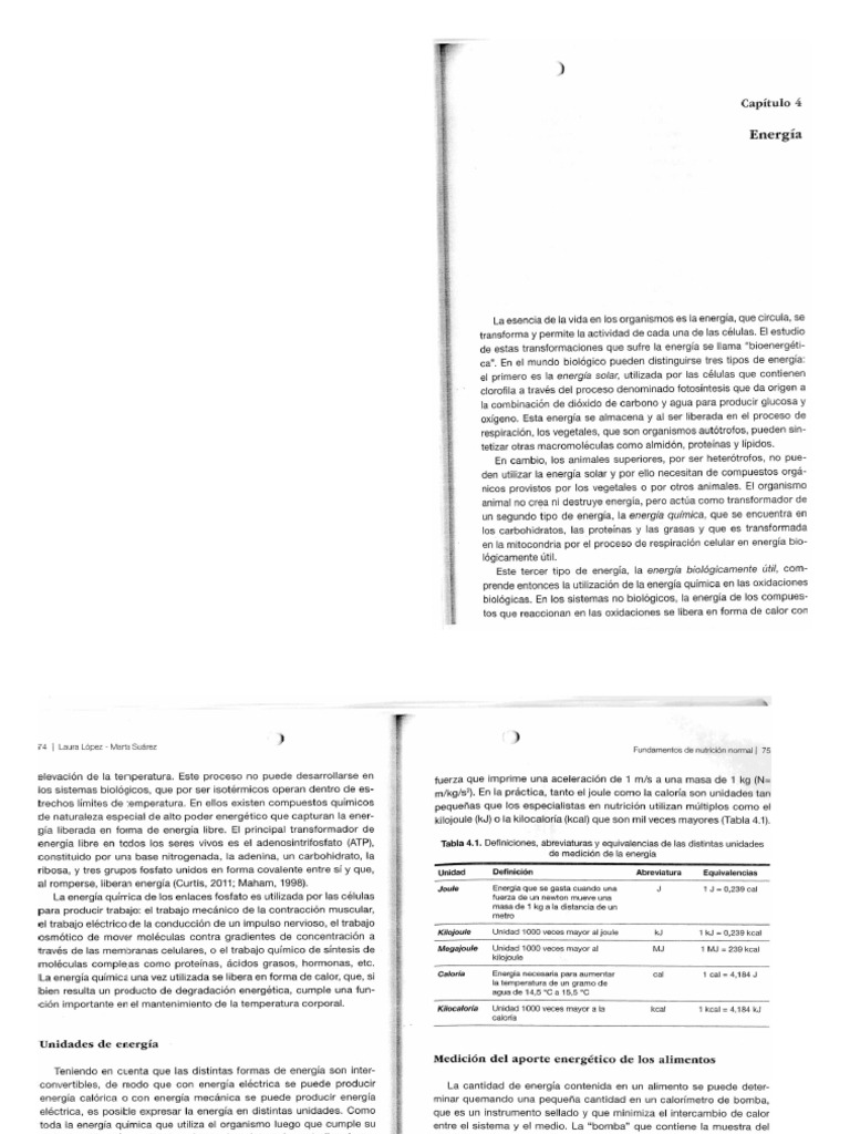 Energía, Componentes Del Gasto Energetico Lopez 2017 | PDF