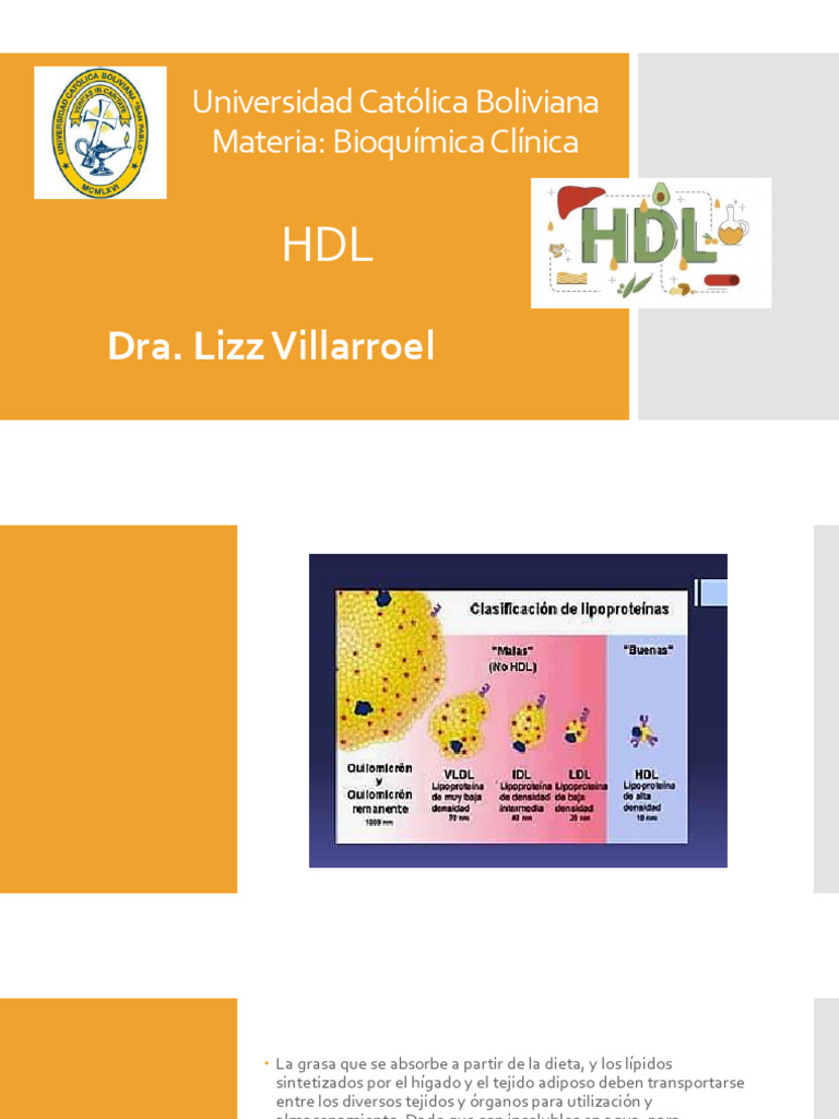 HDL Dra. Lizz Villarroel 25.09.2024 | PDF