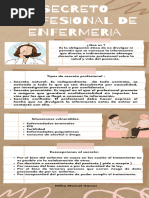 El Secreto Profesional en Enfermeria | PDF