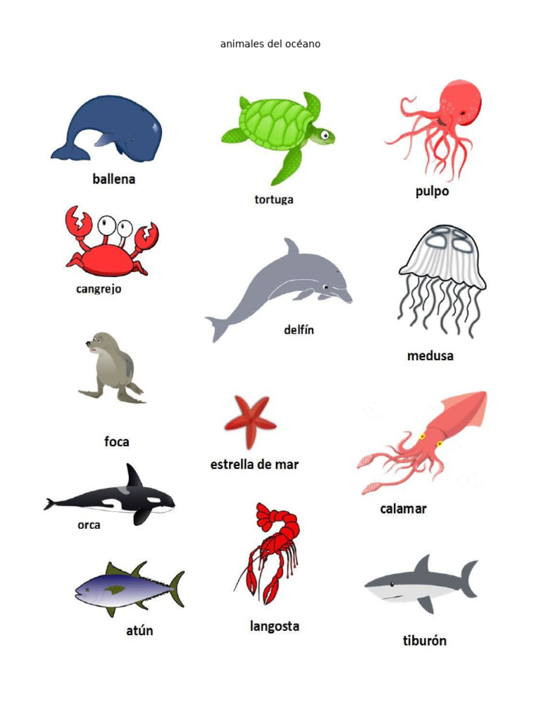 Descubre los Animales del Océano | PDF