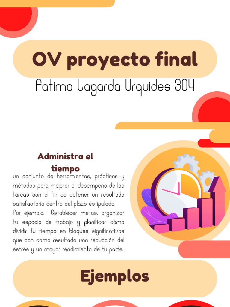 OV Proyecto Final | PDF