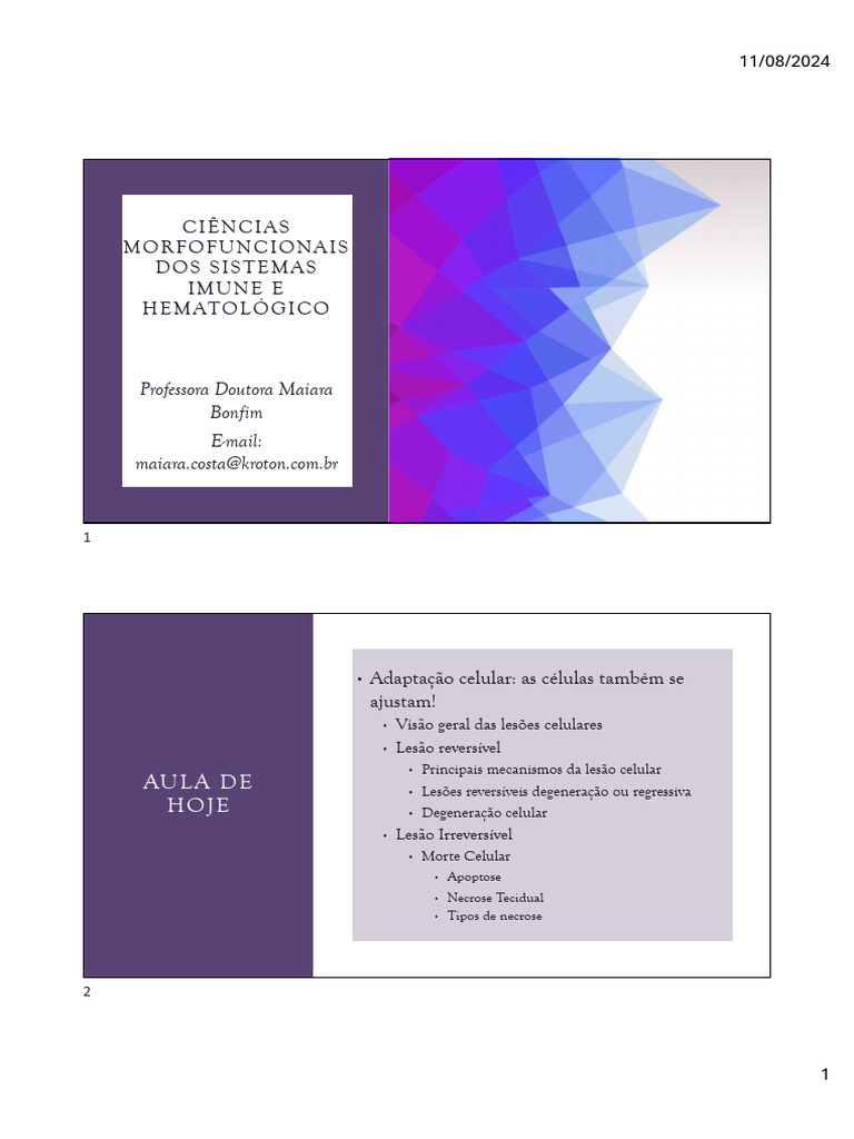 Alunos 24.2 Morfo Aula 2 (1) | PDF