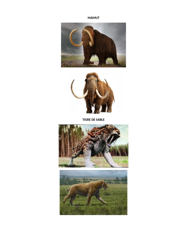 MAMUT | PDF