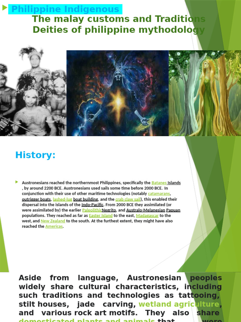 Indigenous Report | PDF