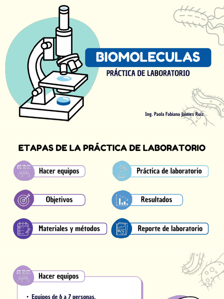 Practica de Laboratorio N°1 | PDF