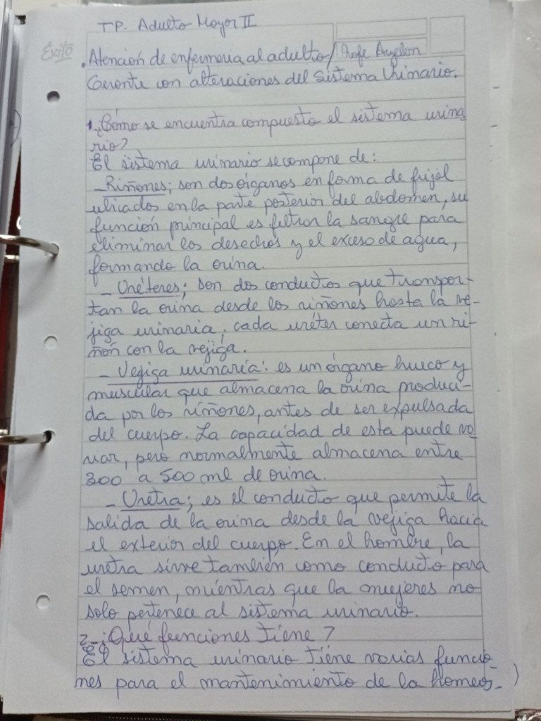 TP9 Sistema Urinario | PDF