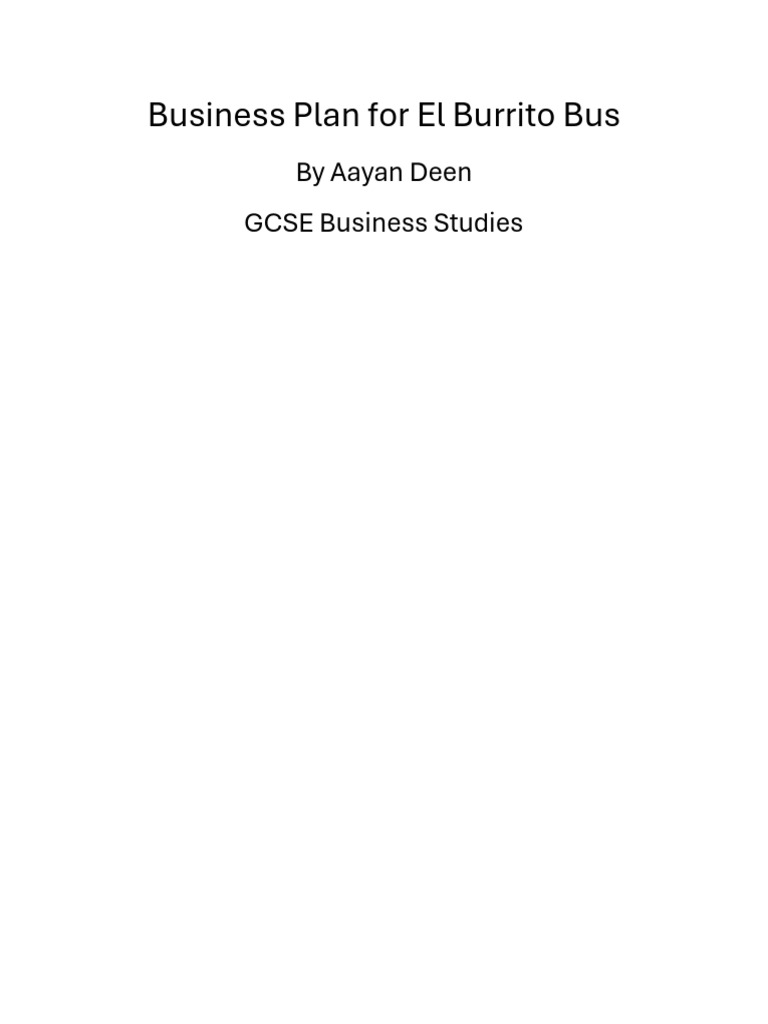Business Plan - Aayan | PDF