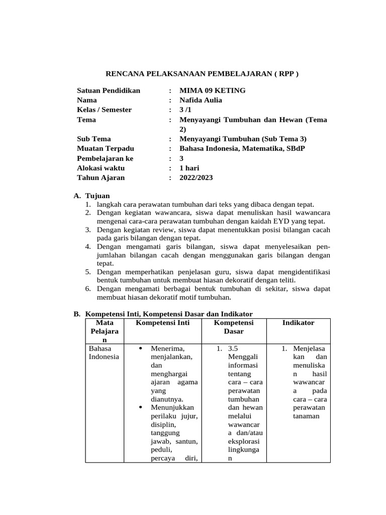 RPP 2013 (Tema 2 Sub 3 Pem.3) | PDF