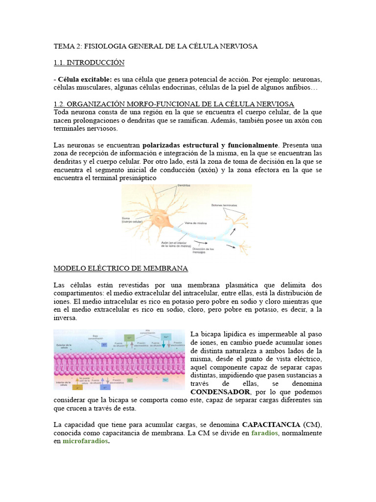 Tema 2 Fisiología Animal Pdf