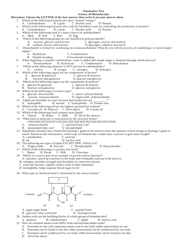summative biomolecules | PDF summative biomolecules | PDF