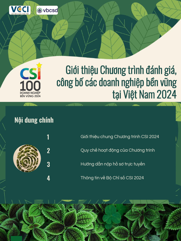 Bo Chi So Phat Trien Ben Vung Vcci 2024 | PDF