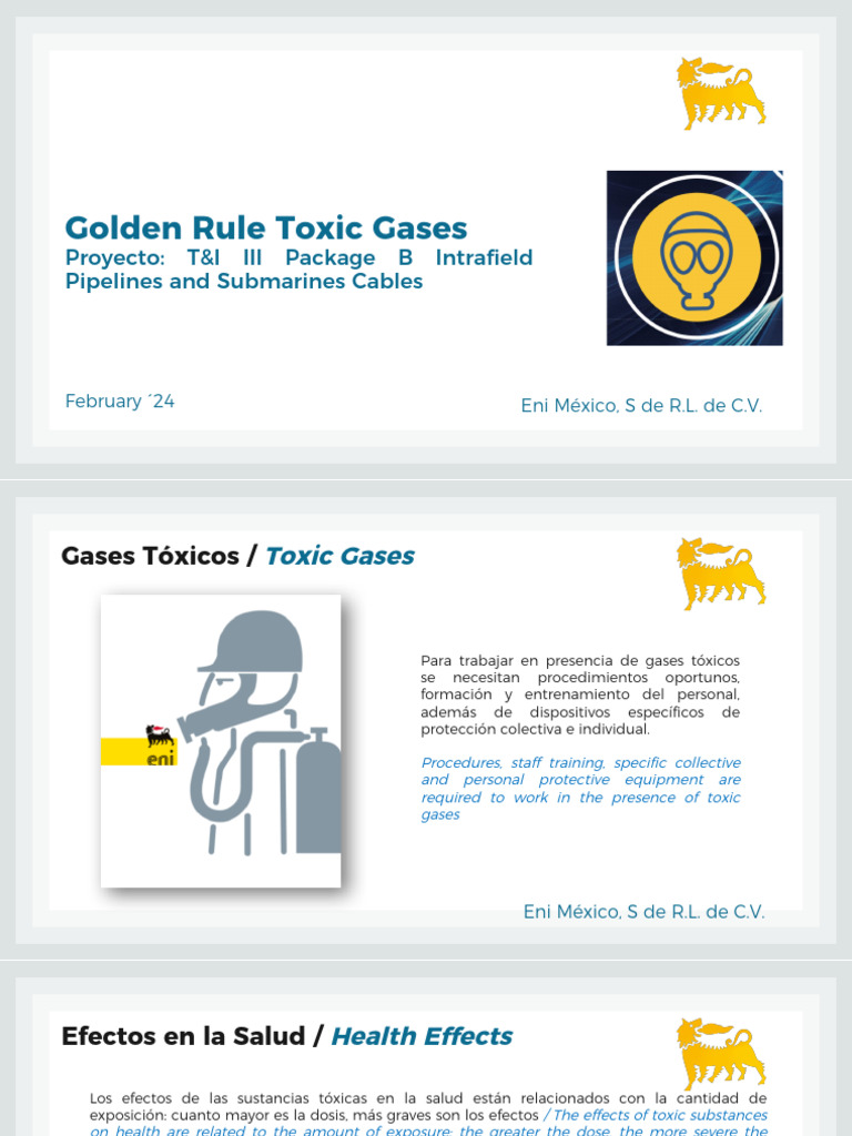 SGR Toxic Gases 2024 | PDF