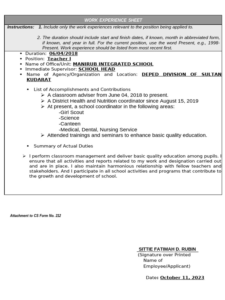 Work Experience Sheet | PDF