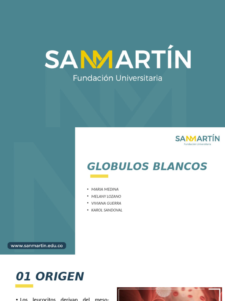 Globulos Blancos | PDF
