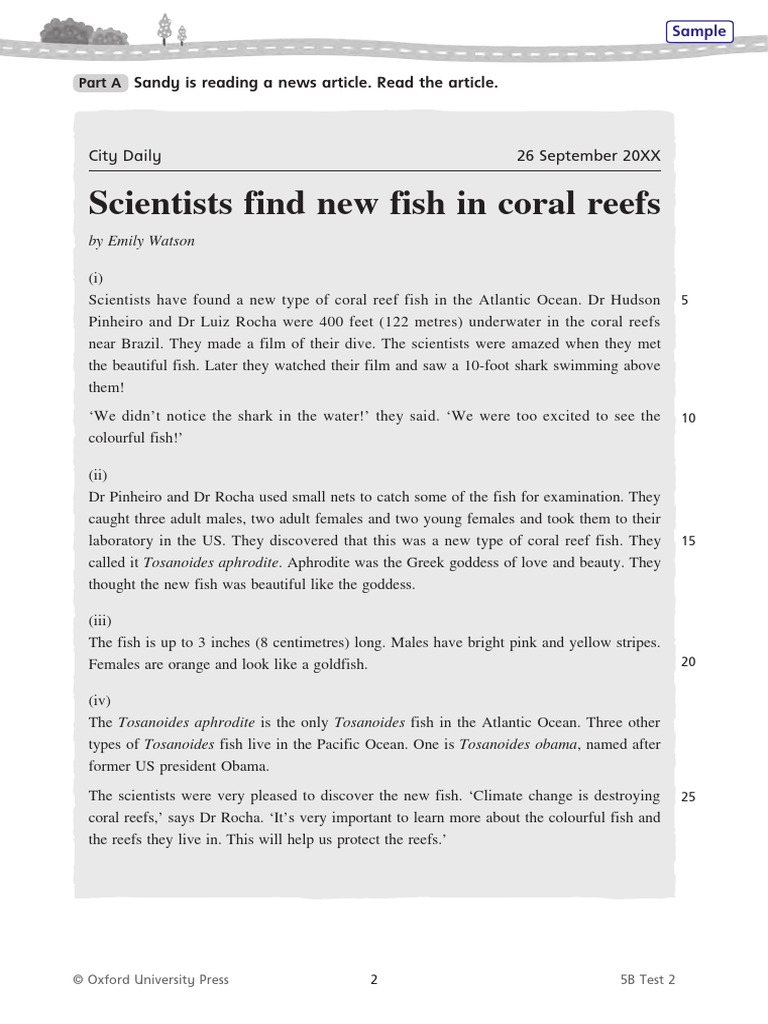 Power Up Test Papers 5b Sample | PDF