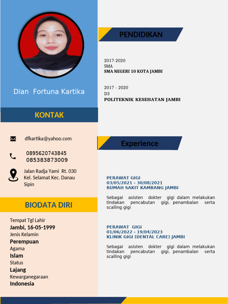 CV DIan | PDF
