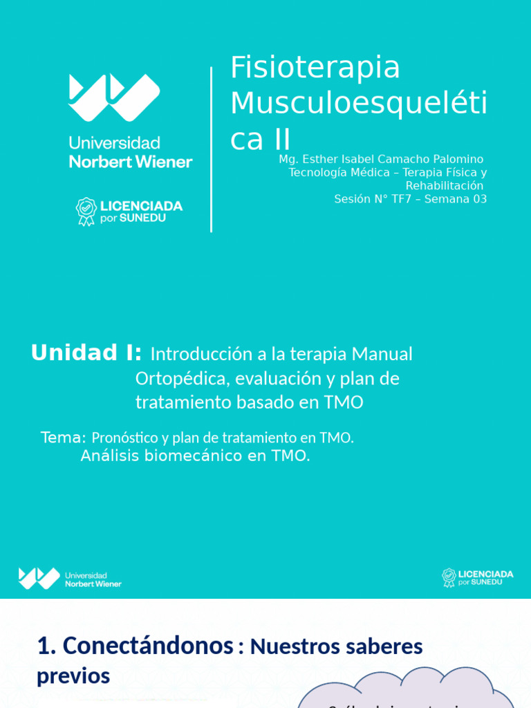 Plan de Tratamiento en tmo | PDF