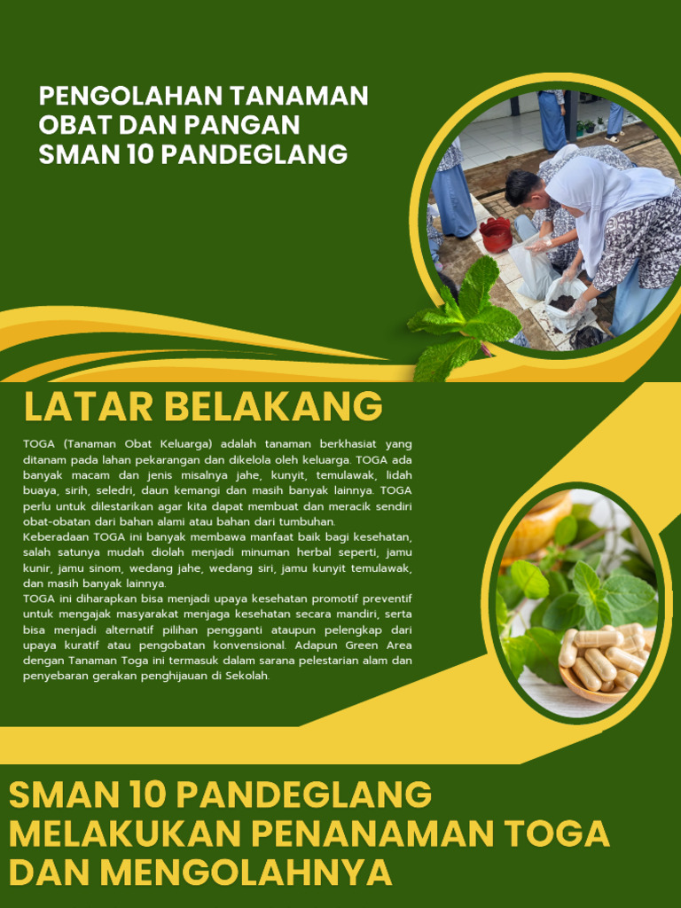 PENGOLAHAN PANGAN DAN TOGA FIX | PDF