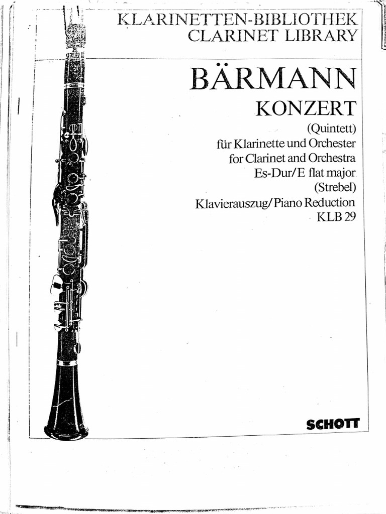 Concerto Do Barmann | PDF