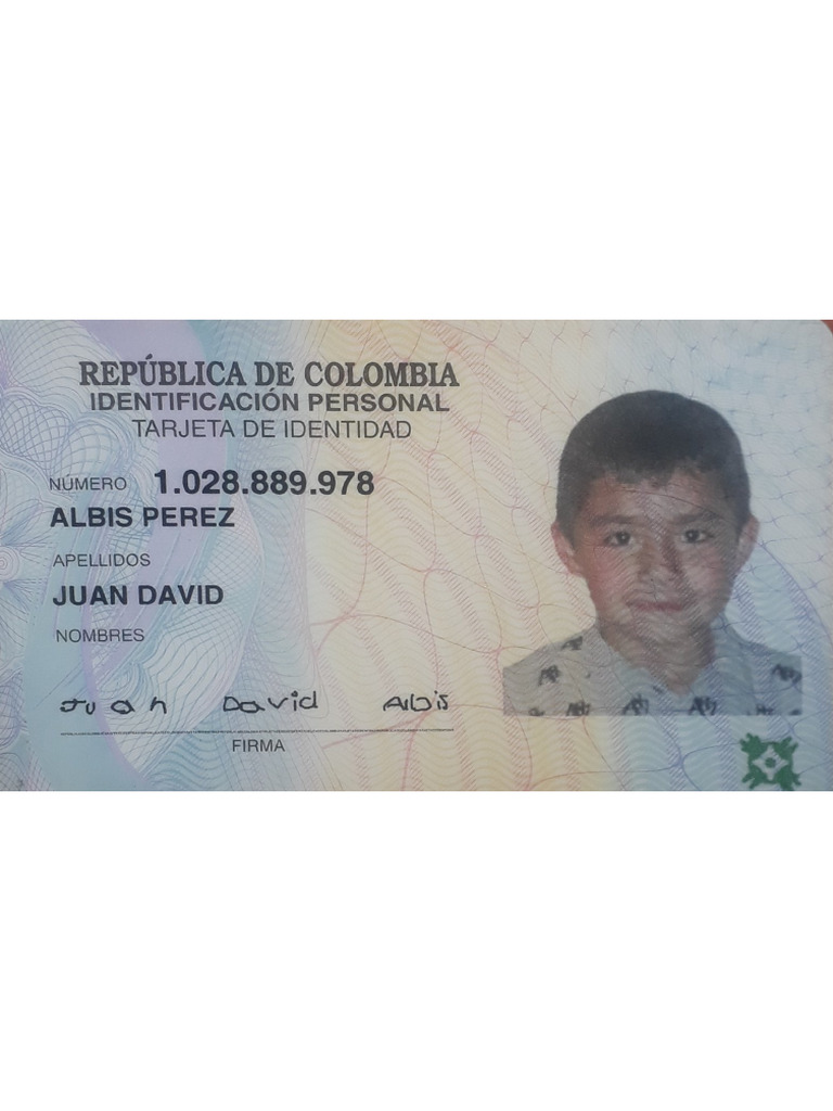 TI Juan David Albis Perez | PDF