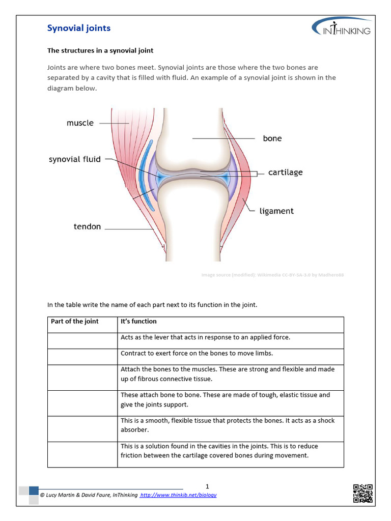 3 - Joints | PDF