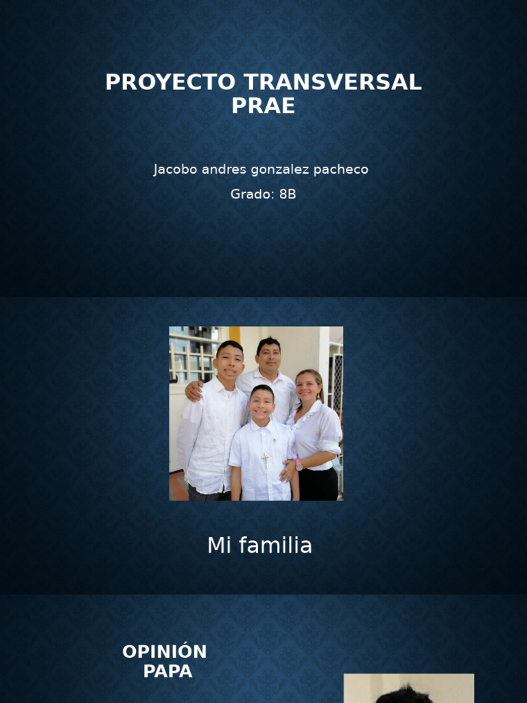 Proyecto Transversal Prae | PDF