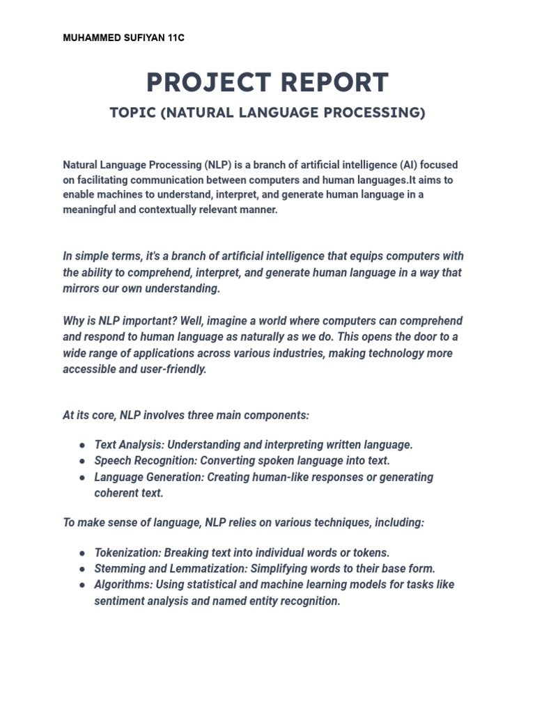 Ip Project Report | PDF