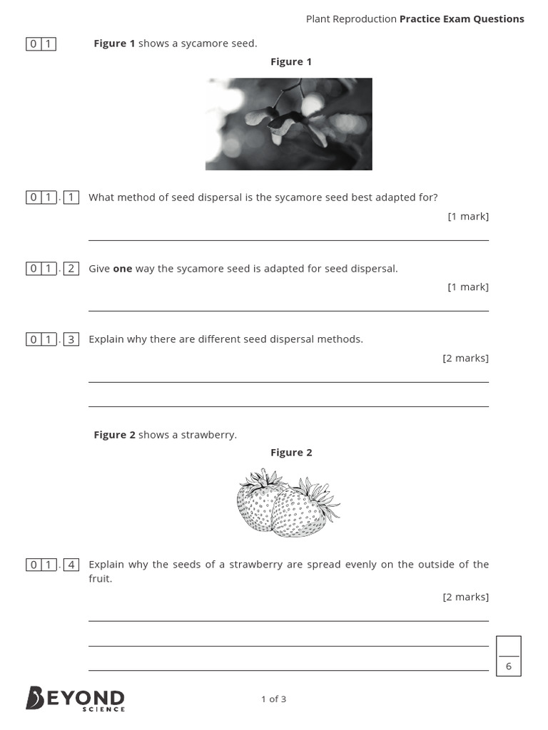 Plant Reproduction Practice Exam Questions Higher | PDF