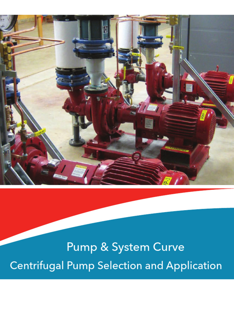 Pump & System Curve | PDF