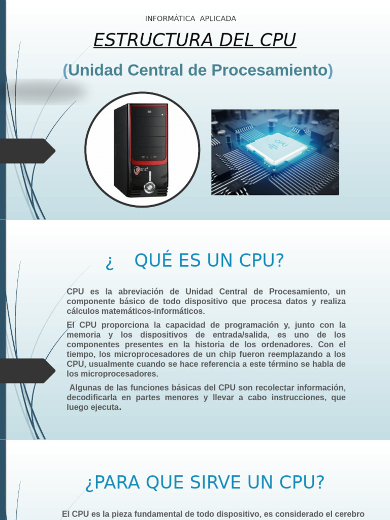 ESTRUCTURA DEL CPU | PDF