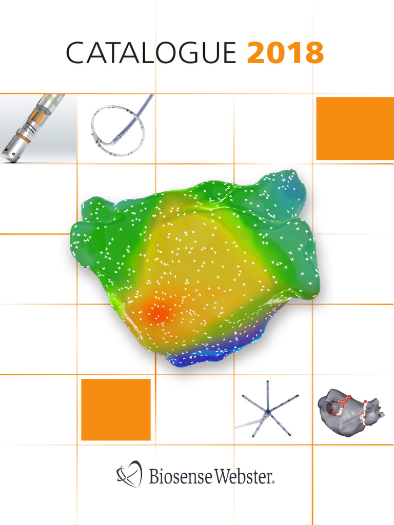 SS Product - Catalogue | PDF