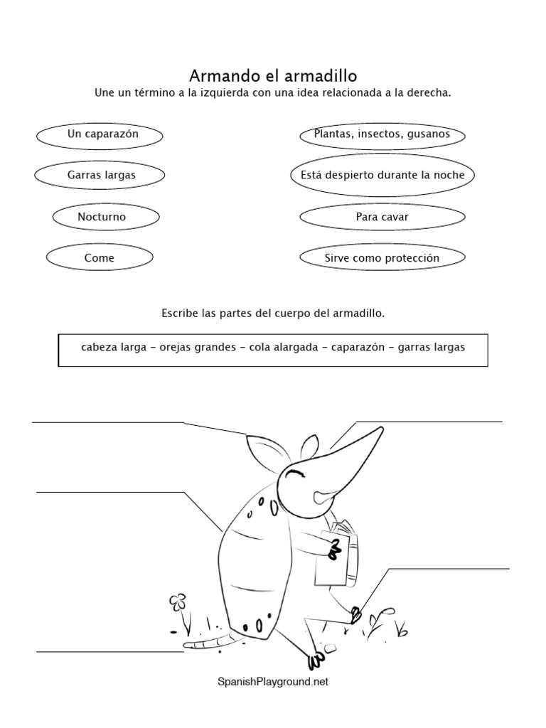 Armadillo Reading 1 Matching | PDF