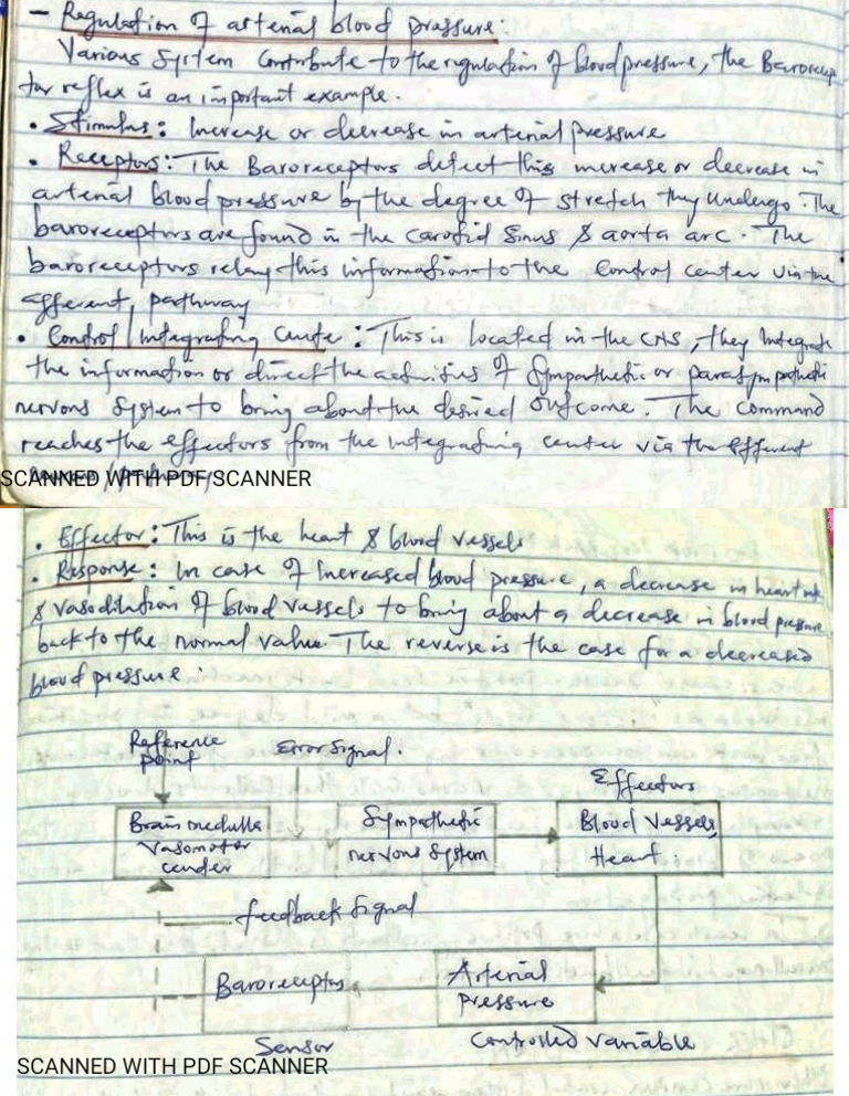 Arterial Blood Pressure Pdf