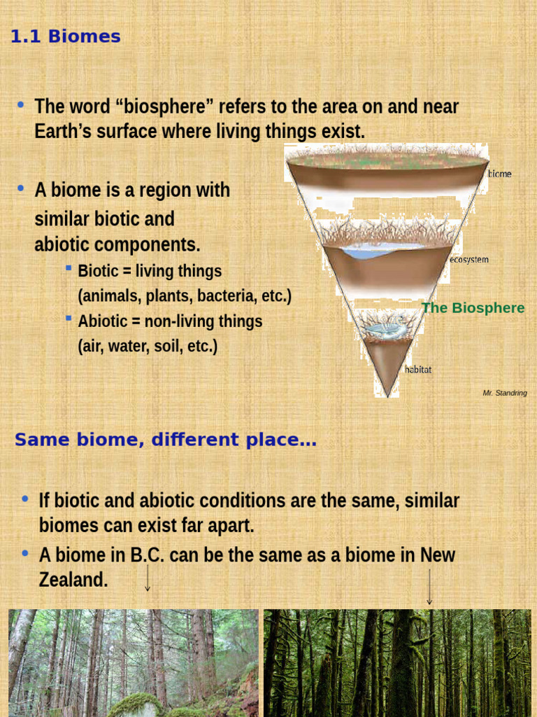 biomes | PDF