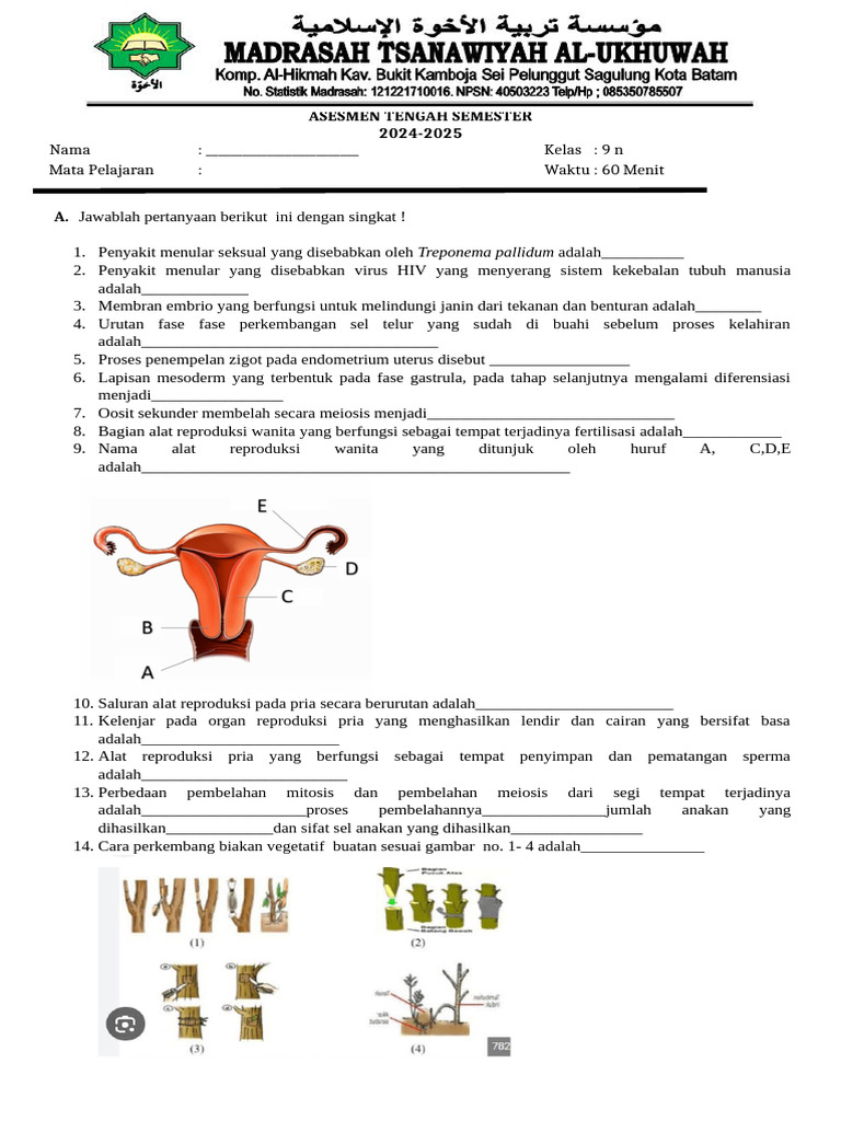 9 IPA Mid Semester | PDF