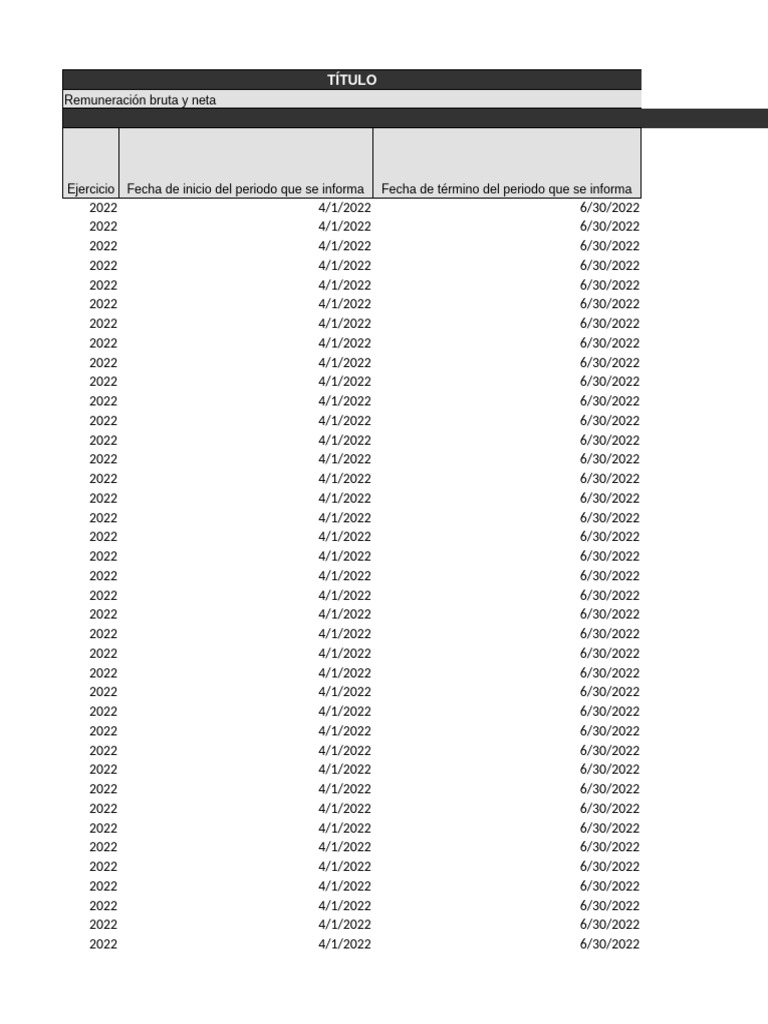 Remuneracion Bruta y Neta-2-2022 | PDF