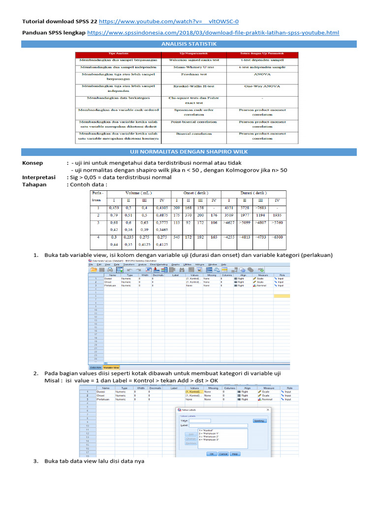 Panduan Dasar Spss 22 (1) | PDF